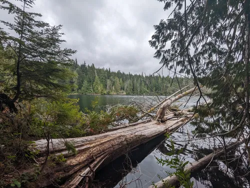 Best Hikes and Trails in Lizard Lake Recreation Site | AllTrails