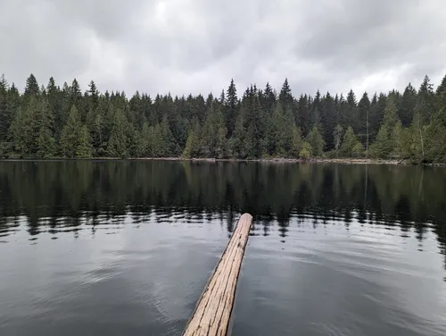 Best Hikes and Trails in Lizard Lake Recreation Site | AllTrails