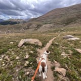 Butler Gulch Trail, Colorado - 2,484 Reviews, Map | AllTrails