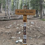 Duck Pass and Pika Lake Trail, California - 1,452 Reviews, Map | AllTrails