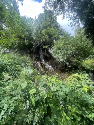 2023 Best Backpacking Trails in Mutual Dell | AllTrails