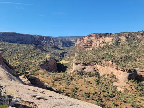 Best 10 Hikes and Trails in Black Ridge Canyons Wilderness | AllTrails
