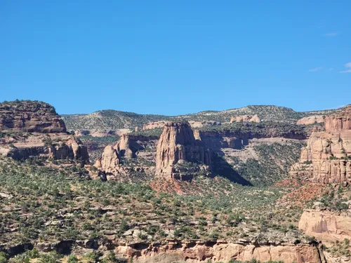 Best 10 Hikes and Trails in Black Ridge Canyons Wilderness | AllTrails