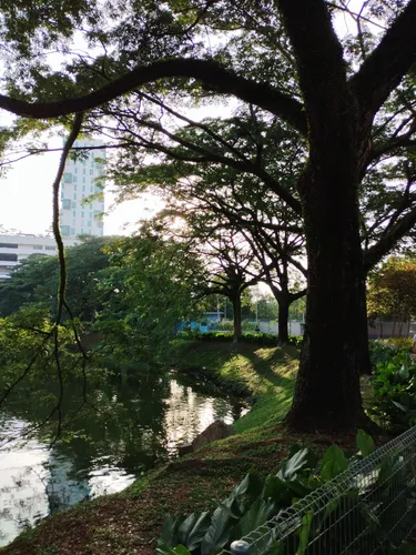 Best Hikes and Trails in Taman Tasik Danau Kota | AllTrails