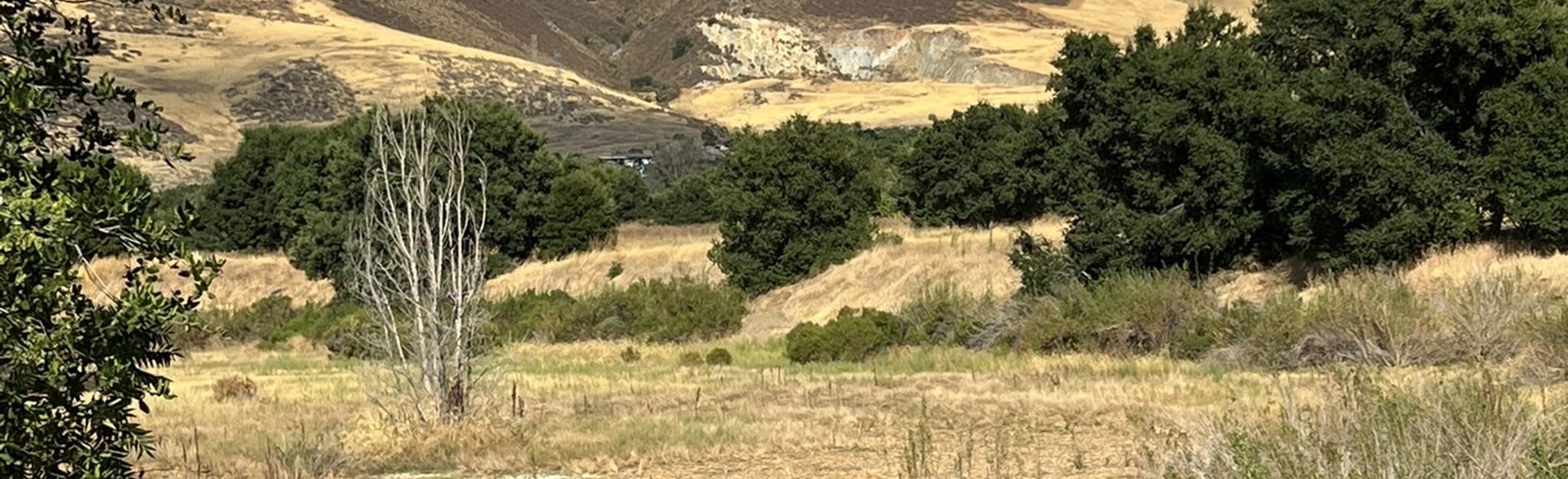 Bay Area Ridge Trail: Coyote Creek Parkway North, California - 371 ...