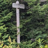 Cherry Mountain Trail, New Hampshire - 330 Reviews, Map | AllTrails