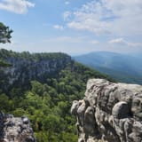 Redman Run Trail, West Virginia - 130 Reviews, Map | AllTrails