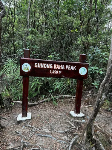 Best Hikes and Trails in Gunung Stong State Park | AllTrails