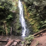 Madison Falls Trail, Washington - 1,517 Reviews, Map | AllTrails