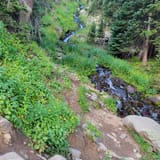Butler Gulch Trail, Colorado - 2,484 Reviews, Map | AllTrails