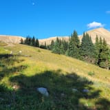 Butler Gulch Trail, Colorado - 2,484 Reviews, Map | AllTrails