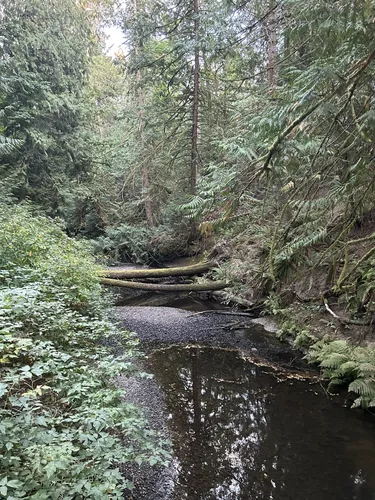 10 Best Walking Trails in Metchosin | AllTrails