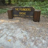Founders Grove Nature Trail, California - 1,024 Reviews, Map | AllTrails