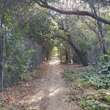 River to Ridge Trail, California - 595 Reviews, Map | AllTrails