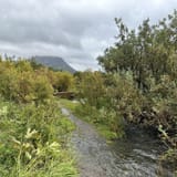 Carter Lake Trail, Alaska - 368 Reviews, Map | AllTrails