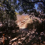 Grasslands Loop Trail, California - 1,408 Reviews, Map | AllTrails