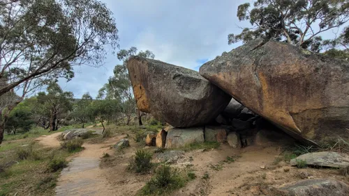 Best Hikes and Trails in Black Range Scenic Reserve | AllTrails