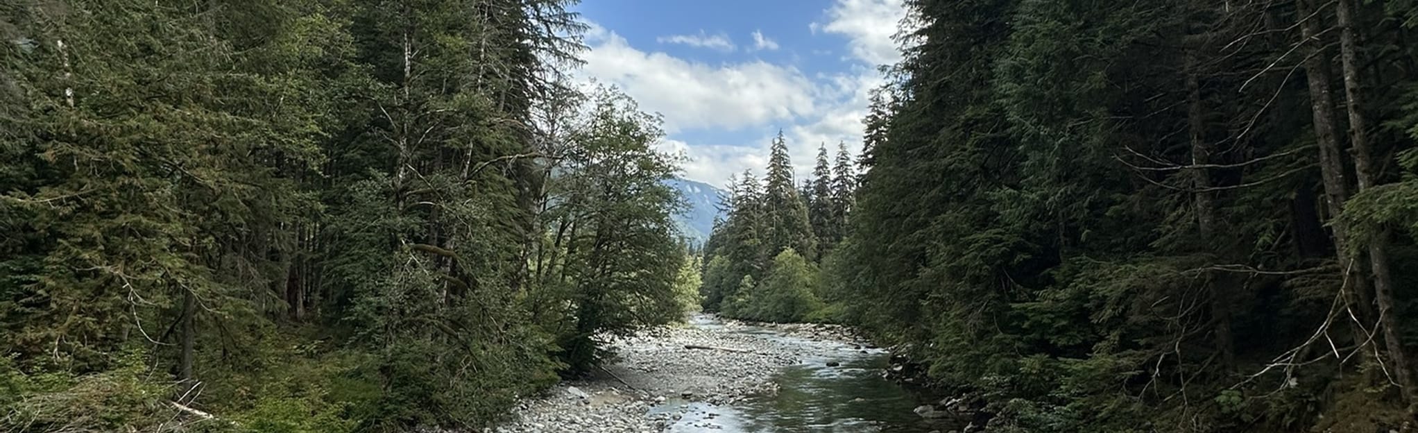 Middle Fork Snoqualmie River Trail, Washington - 859 Reviews, Map ...
