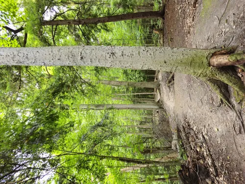 Best Hikes and Trails in Alliston | AllTrails