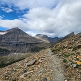 Piegan Pass Trail, Montana - 150 Reviews, Map | AllTrails