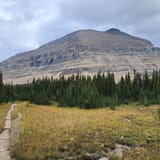 Piegan Pass Trail, Montana - 150 Reviews, Map | AllTrails