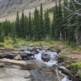 Piegan Pass Trail, Montana - 150 Reviews, Map | AllTrails