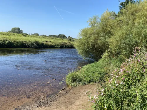 Best Hikes and Trails in Mersey Vale Nature Park | AllTrails