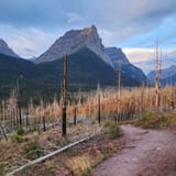 Piegan Pass Trail, Montana - 150 Reviews, Map | AllTrails