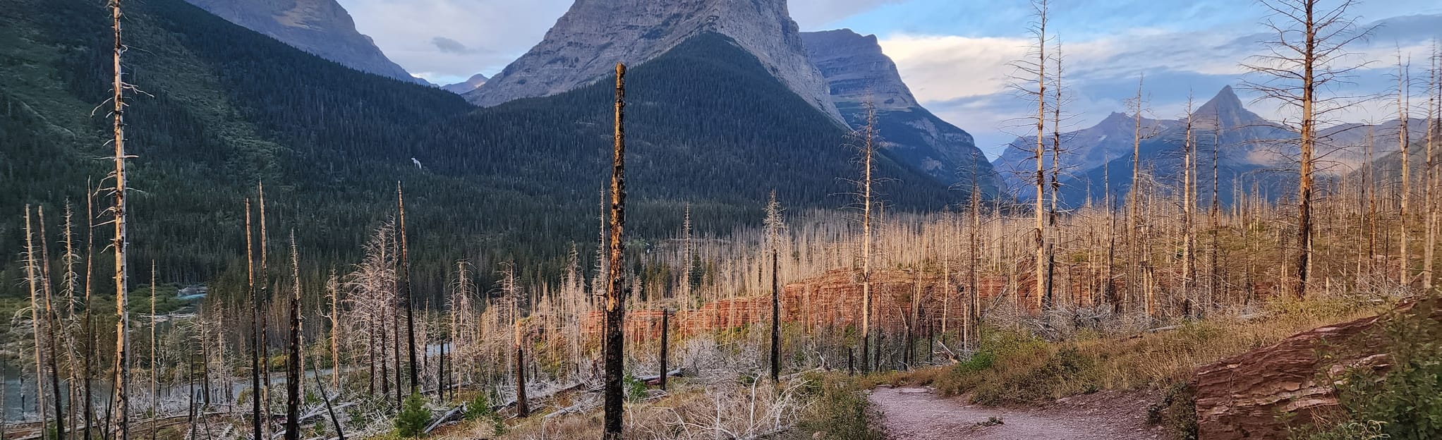 Piegan Pass, Montana - 9 Reviews, Map | AllTrails