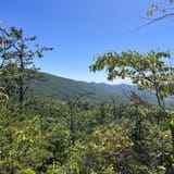Perry Valley Loop Trail, West Virginia - 105 Reviews, Map | AllTrails