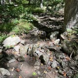 Perry Valley Loop Trail, West Virginia - 128 Reviews, Map | AllTrails