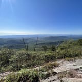 Perry Valley Loop Trail, West Virginia - 105 Reviews, Map | AllTrails