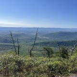 Perry Valley Loop Trail, West Virginia - 105 Reviews, Map | AllTrails