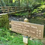 The Boogerman Trail, North Carolina - 445 Reviews, Map | AllTrails