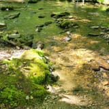 The Boogerman Trail, North Carolina - 460 Reviews, Map | AllTrails