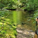 The Boogerman Trail, North Carolina - 460 Reviews, Map | AllTrails