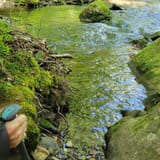 The Boogerman Trail, North Carolina - 460 Reviews, Map | AllTrails