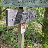 The Boogerman Trail, North Carolina - 460 Reviews, Map | AllTrails