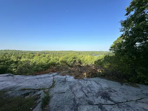 Best Hikes and Trails in Chute Pond County Park | AllTrails