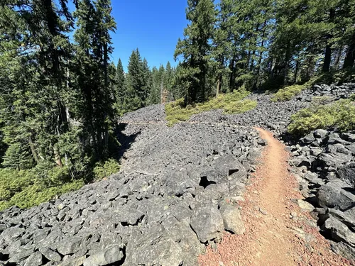 Best Hikes and Trails in Willow Lake County Park | AllTrails