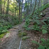 Sunset Rock Trail, New York - 722 Reviews, Map | AllTrails
