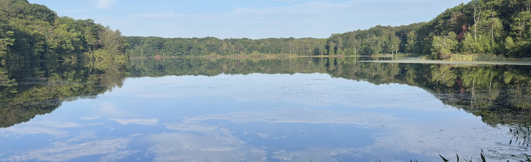 Mountain Mud Pond and Boneyard Loop: 55 Reviews, Map - Pennsylvania ...