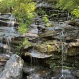 Issaqueena Falls Trail, South Carolina - 757 Reviews, Map | AllTrails