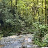 Issaqueena Falls Trail, South Carolina - 757 Reviews, Map | AllTrails