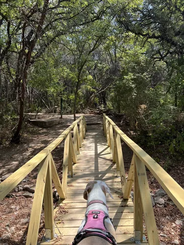 Best Hikes and Trails in Emma Long Metropolitan Park | AllTrails