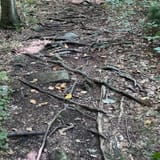 Mooween State Park Loop , Connecticut - 387 Reviews, Map | AllTrails