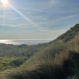 Formby Beach and Woodland Circular, Merseyside, England - 109 Reviews ...