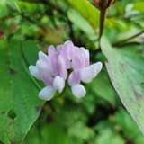 Day Hill Loop, Minnesota - 271 Reviews, Map | AllTrails