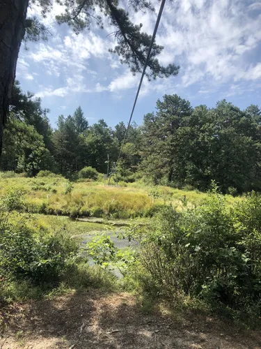 Best Hikes and Trails in Maple Tract Preserve | AllTrails