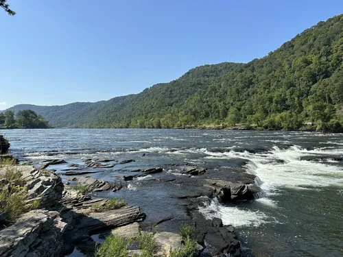 Best Forest Trails in Shady Spring | AllTrails